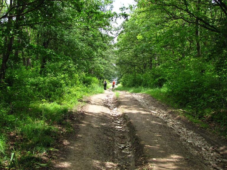 Turistautak típusai. Mit mutatnak a vonalak? | Túrára kattanva